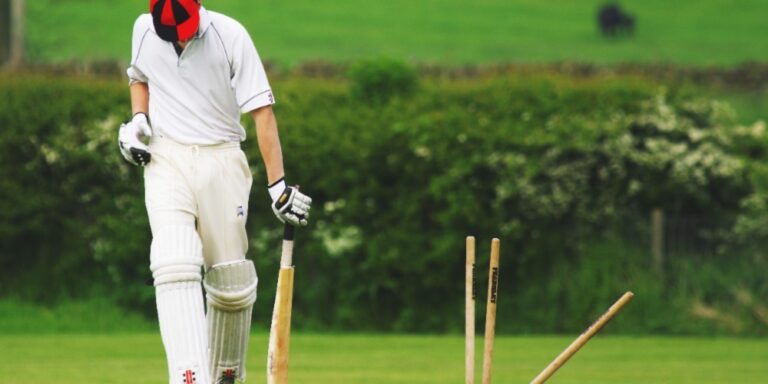 Cricket Rules Explained: A Complete Guide - CricFinder