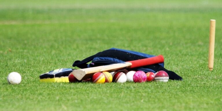 What is Powerplay in Cricket?: A Complete Guide: - CricFinder
